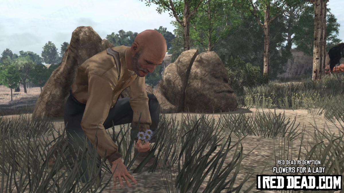 Red Dead Redemption - Flowers for a Lady - Side Mission Guide