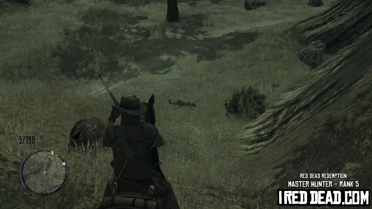 Red Dead Redemption Master Hunter Cougar 1