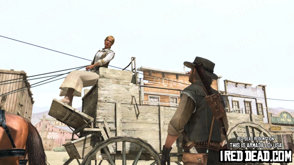Red Dead Redemption This Is Armadillo, USA 26